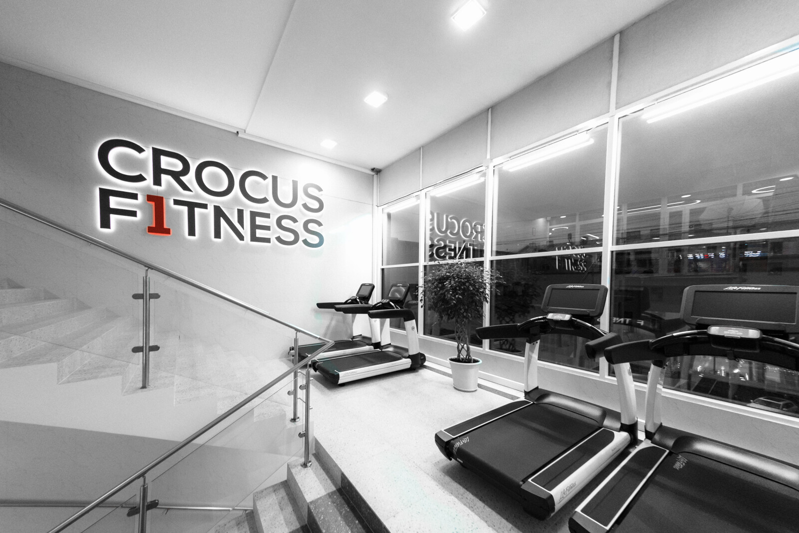 CROCUS FITNESS RUBINSTEINA - LifeFitness