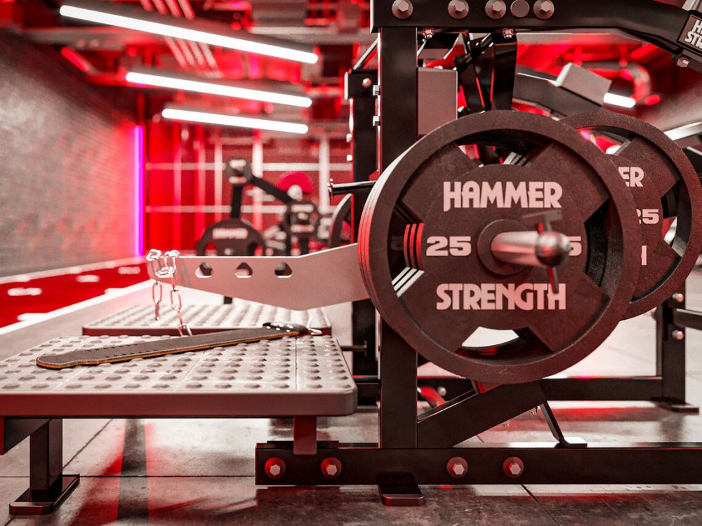 Hammer Strength Clinic 2023 - LifeFitness